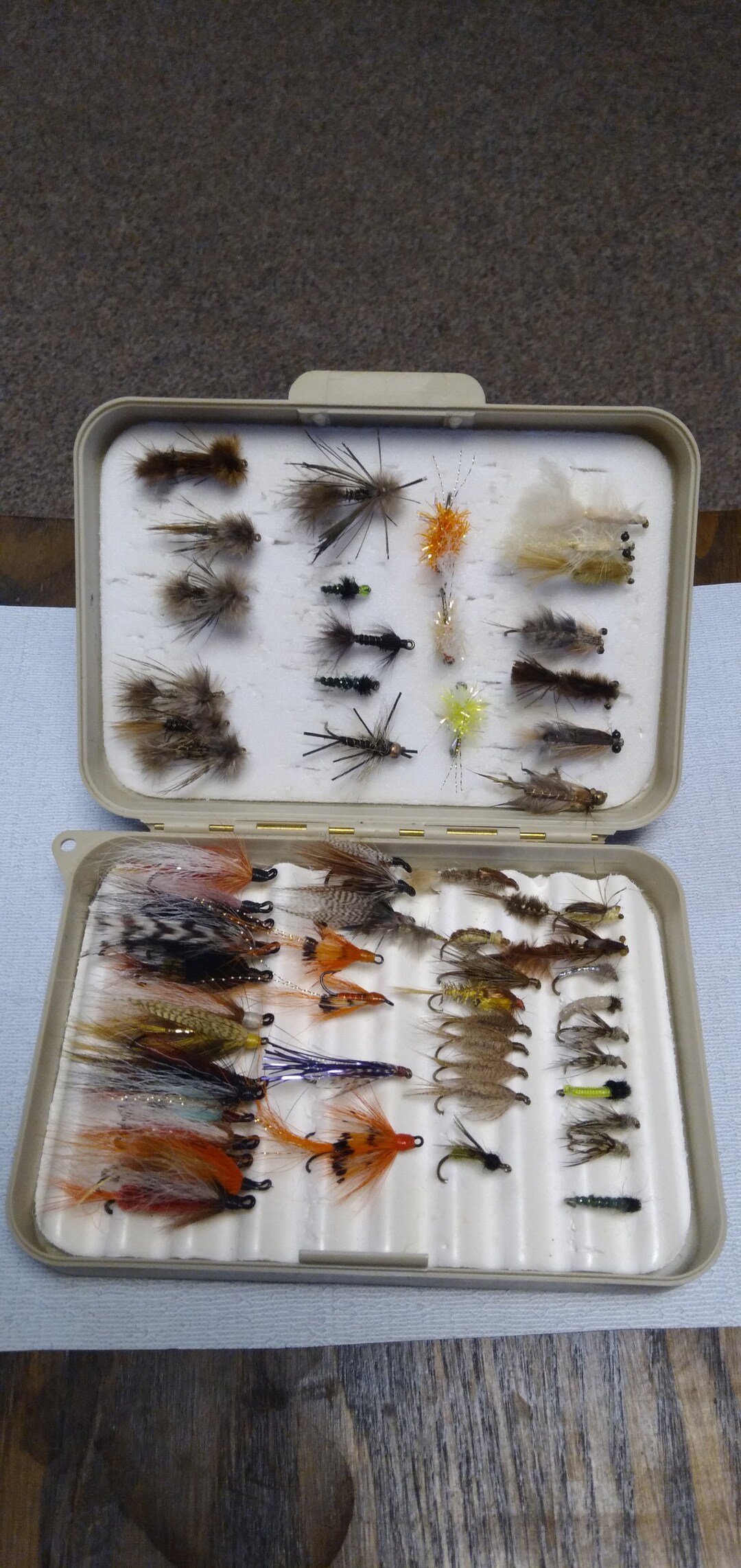 Orvis Plastic/foam Fly Box With 5 Dozen Steelhead and Salmon Flies ...