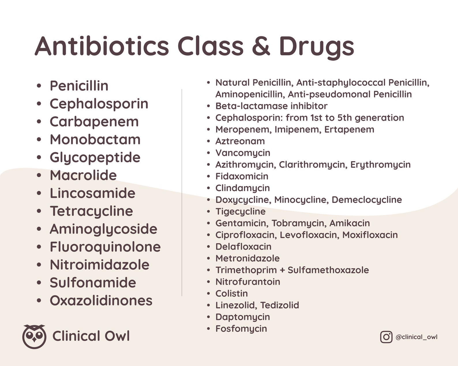 Antibiotics Pharmacology | Last Minute Study Notes | Nursing, Medical ...