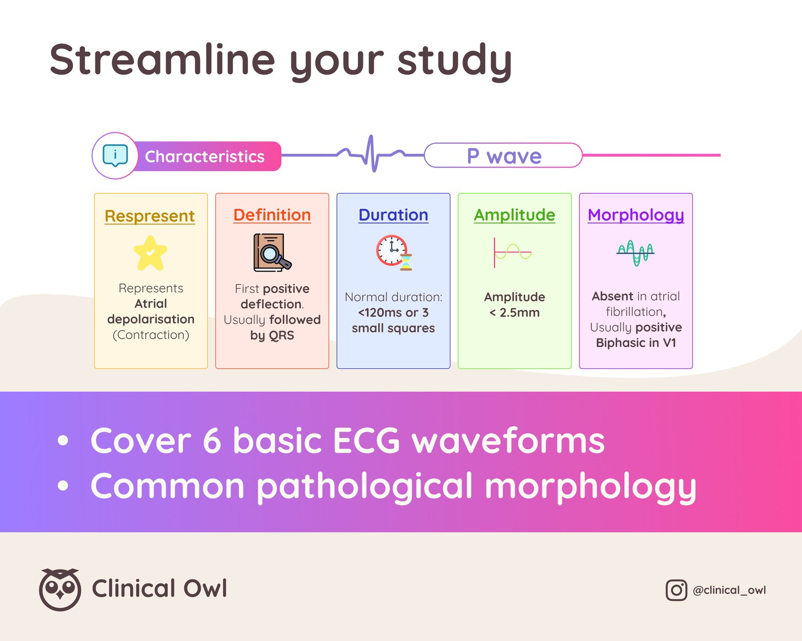 ECG Essentials | Last Minute Study Notes for Nursing, Medical, Pharmacy ...
