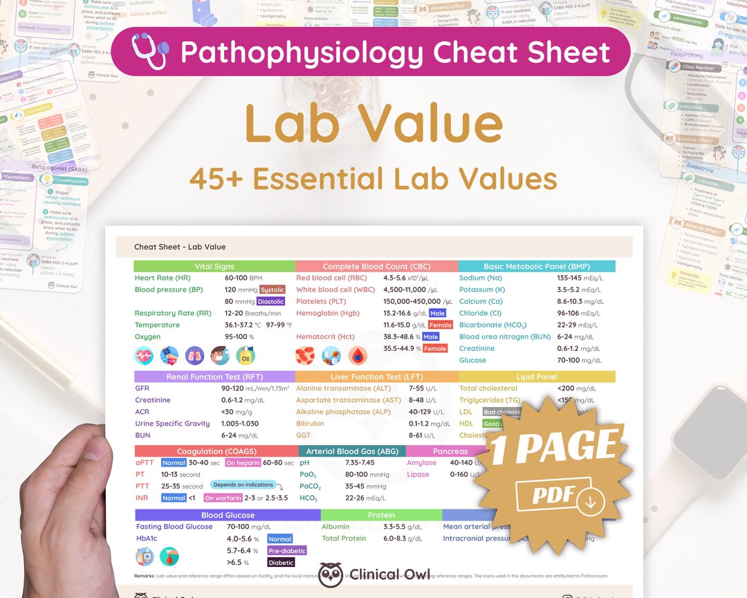 Lab Value Cheat Sheet | Nursing, Medical, Pharmacy School | 1 Page - Etsy