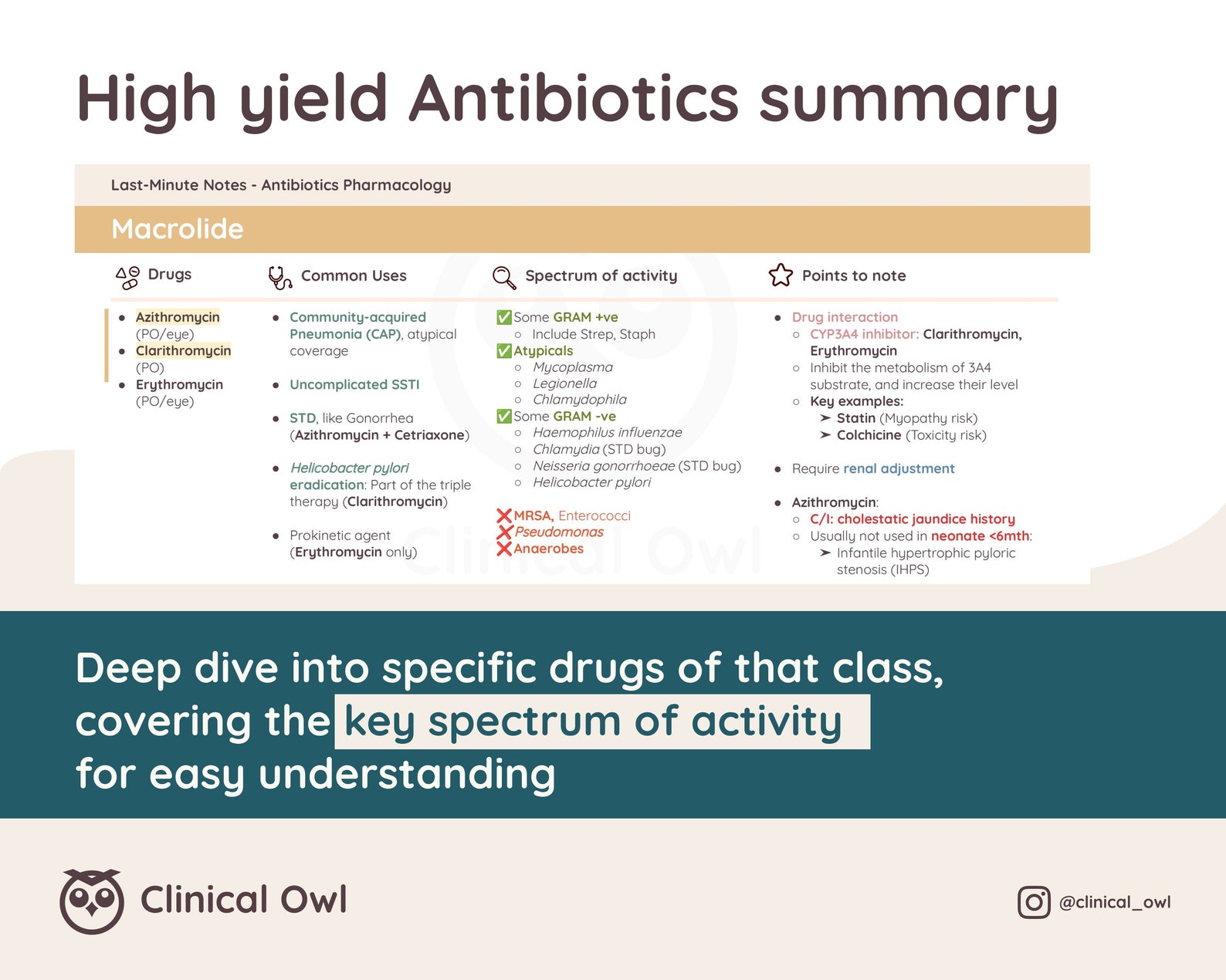 Antibiotics Pharmacology | Last Minute Study Notes | Nursing, Medical ...