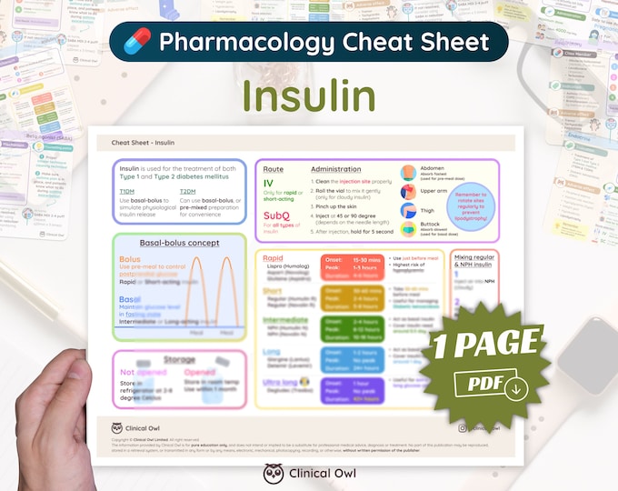 Insulin Guide Cheat Sheet - Etsy