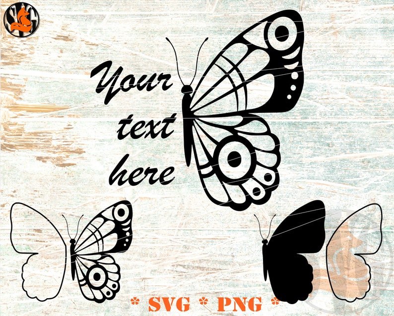 Half Butterfly SVG, Butterfly Svg, Split Butterfly Silhouette Svg ...