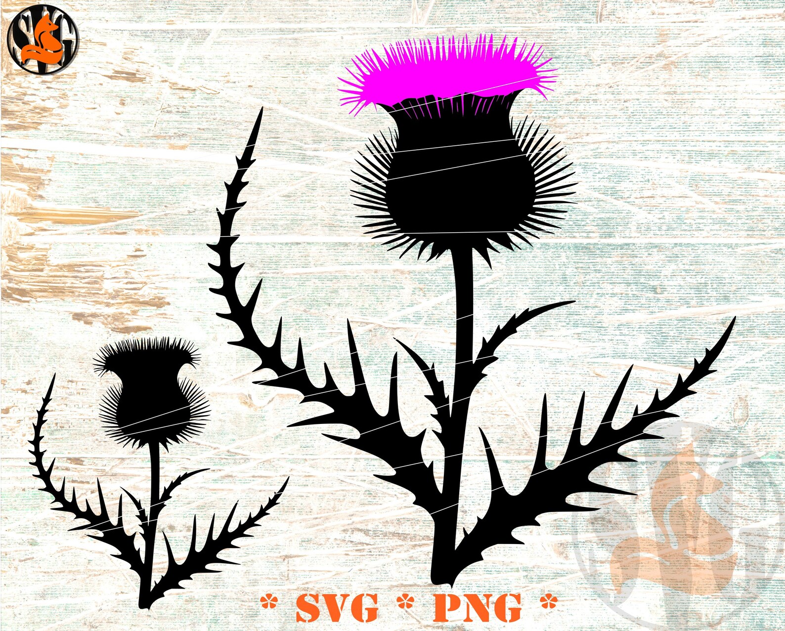 Thistle SVG, Scottish Thistle PNG Wildflower File for Cricut Craft ...