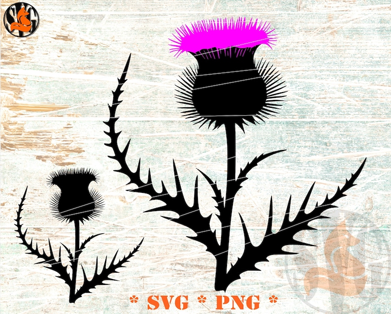 Thistle SVG, Scottish Thistle PNG Wildflower File for Cricut Craft ...