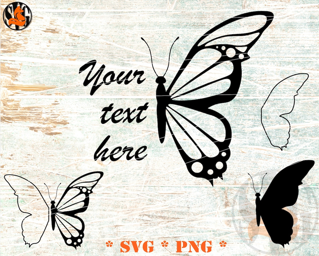 Half Butterfly SVG, Butterfly Svg, Split Butterfly Silhouette Svg ...