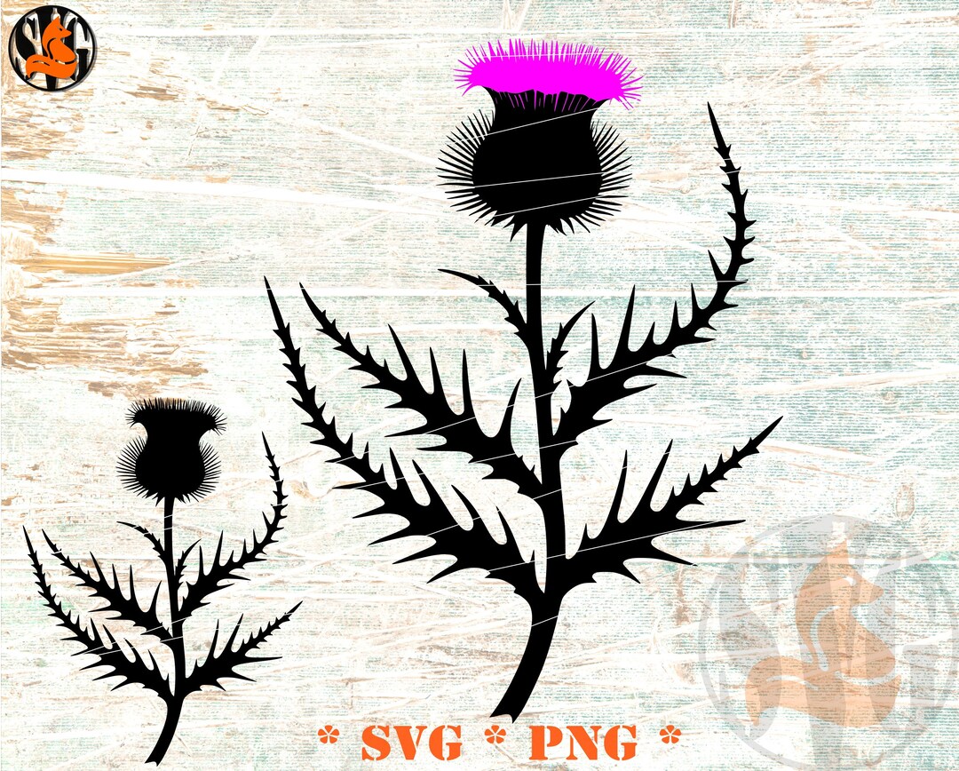 Scottish Thistle SVG PNG Wild Flower File for Cricut Craft Digital ...