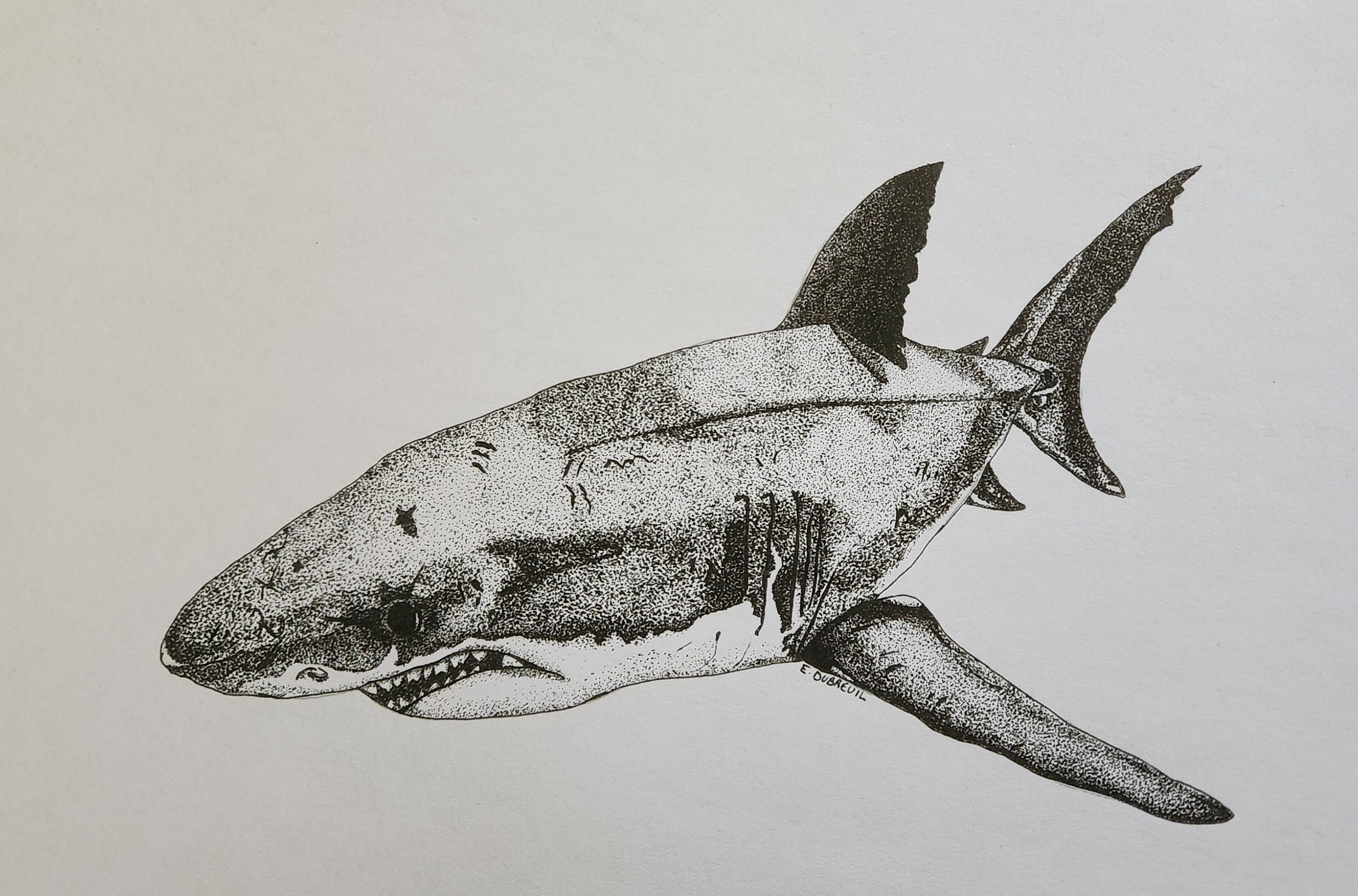 Shark Pointillism - Etsy