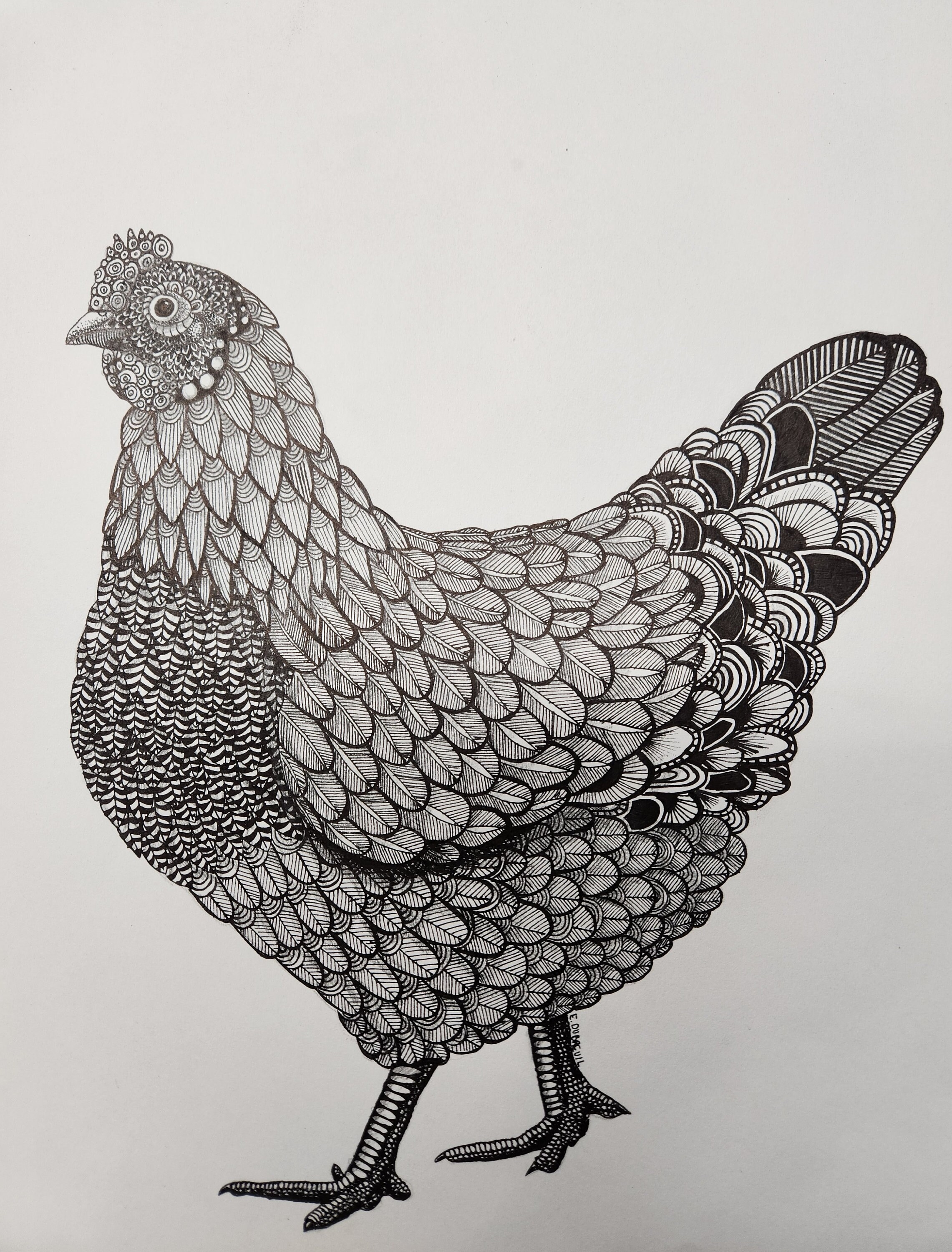 Hen Zentangle Drawing - Etsy