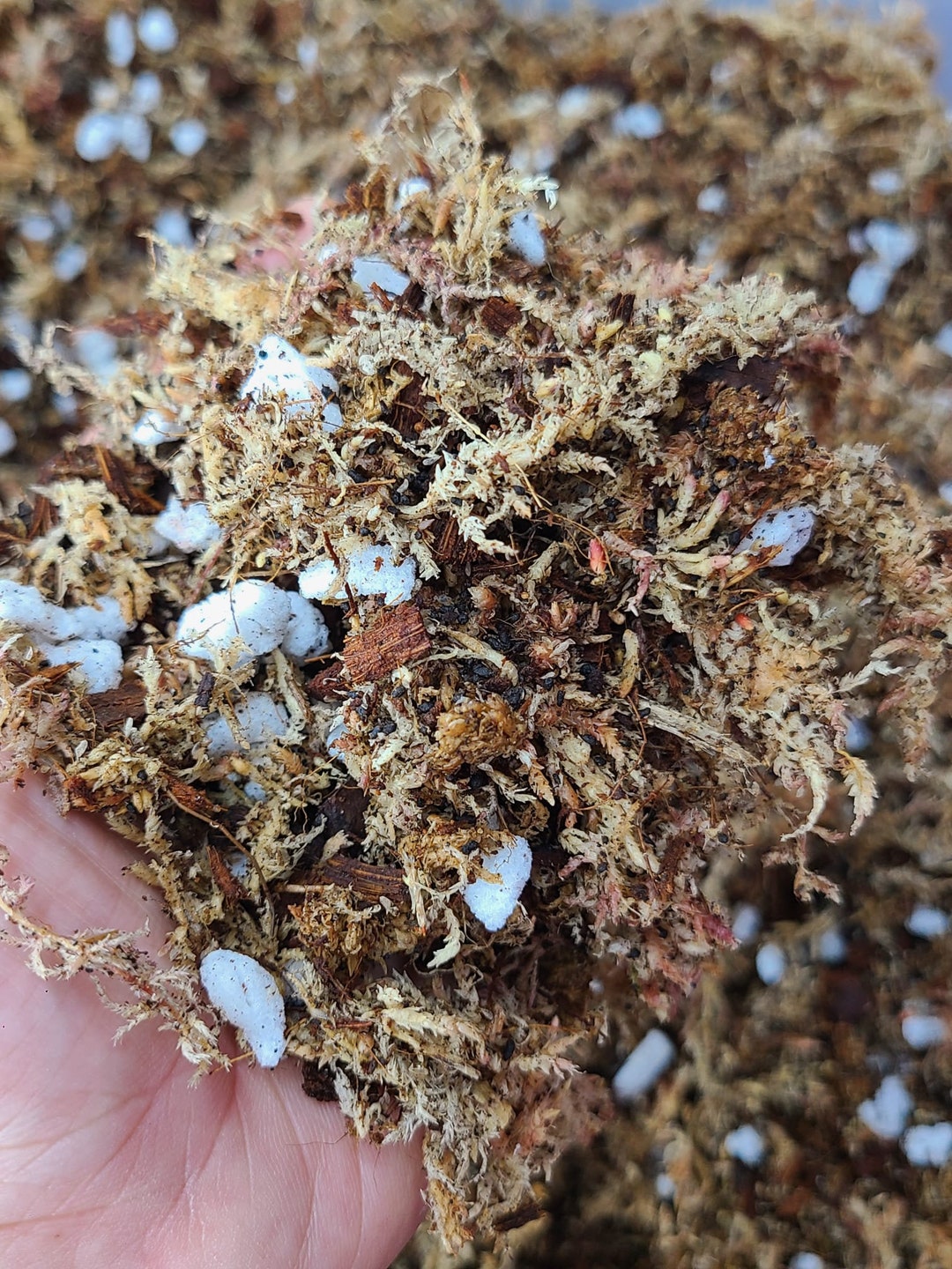 Signature Sphagnum Moss Mix | Soilless Potting Media | Free Ground ...