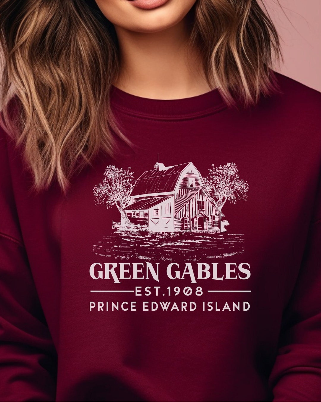 Anne of Green Gables Sweatshirt, Anne With an E Sweater, Booktok Merch ...