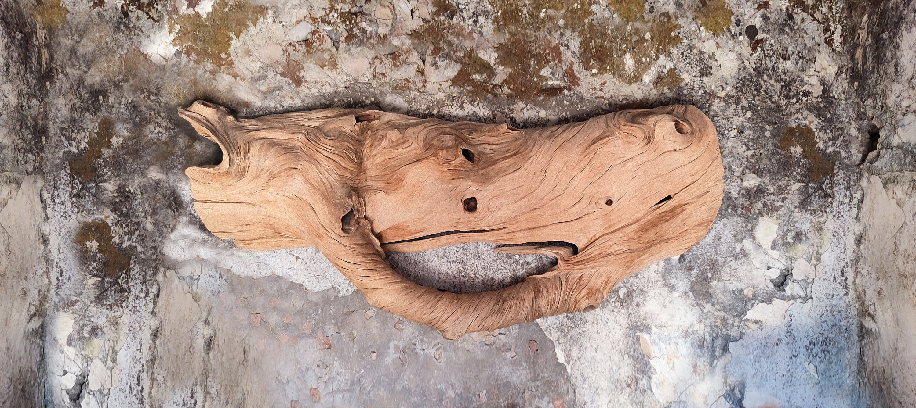 Unique Wall Decor, Rustic Cedar Wall Decor, Nature Art, Nature's Beauty ...
