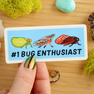Number 1 Bug Enthusiast Sticker / Entomology / Entomologist / Bug Lover ...