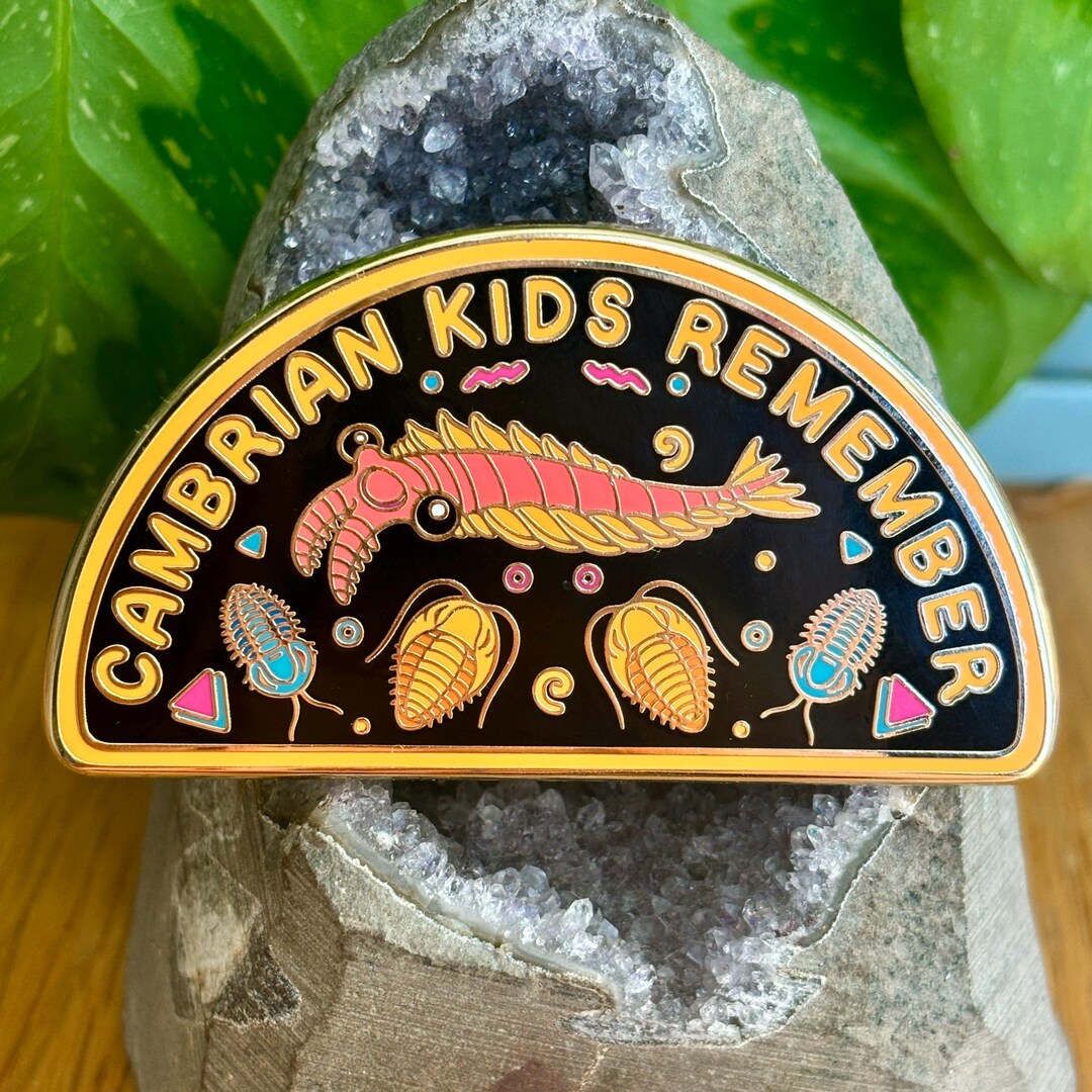 Cambrian Kids Remember Enamel Pin / Paleontology / Paleontologist ...