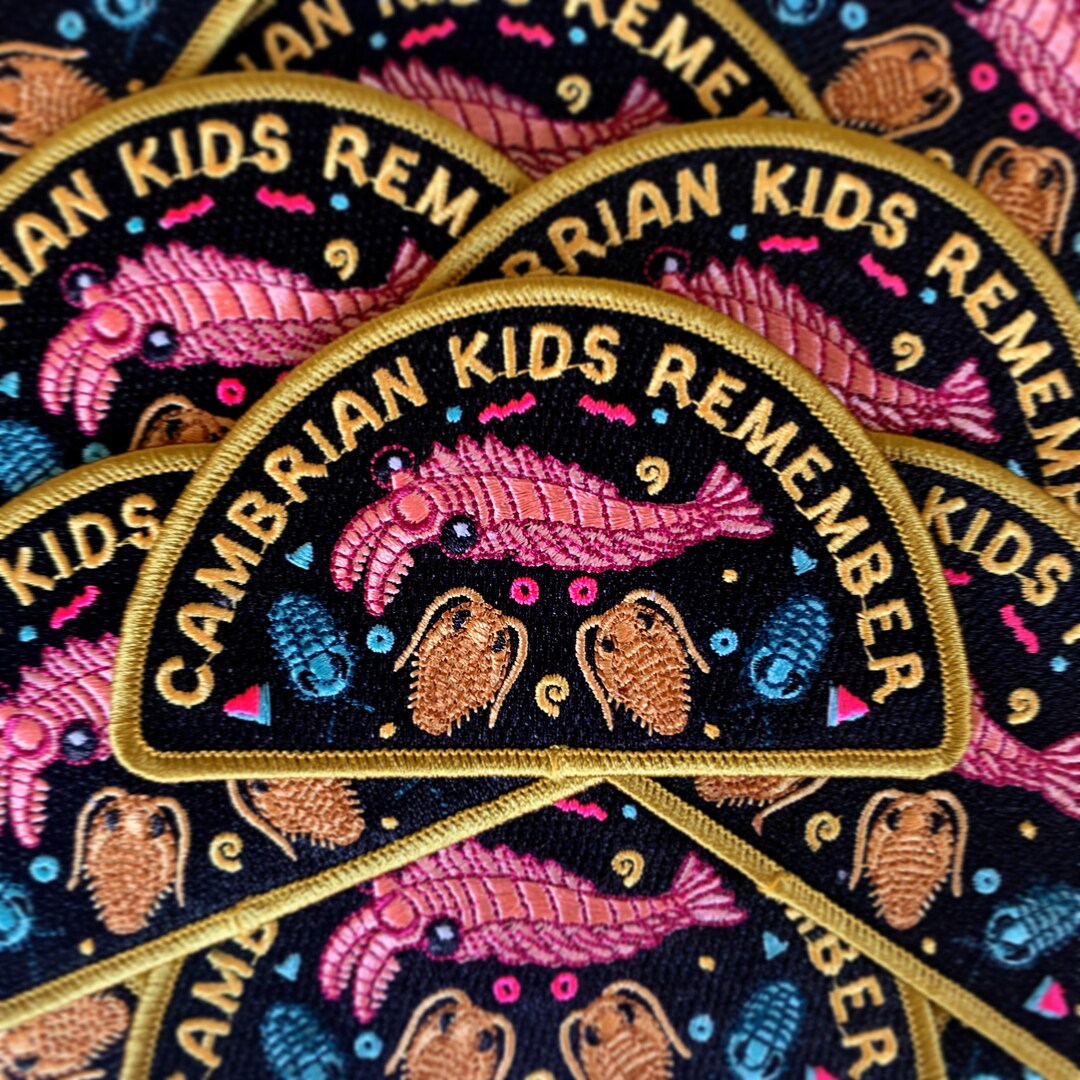 Cambrian Kids Remember Iron-on Patch - Etsy