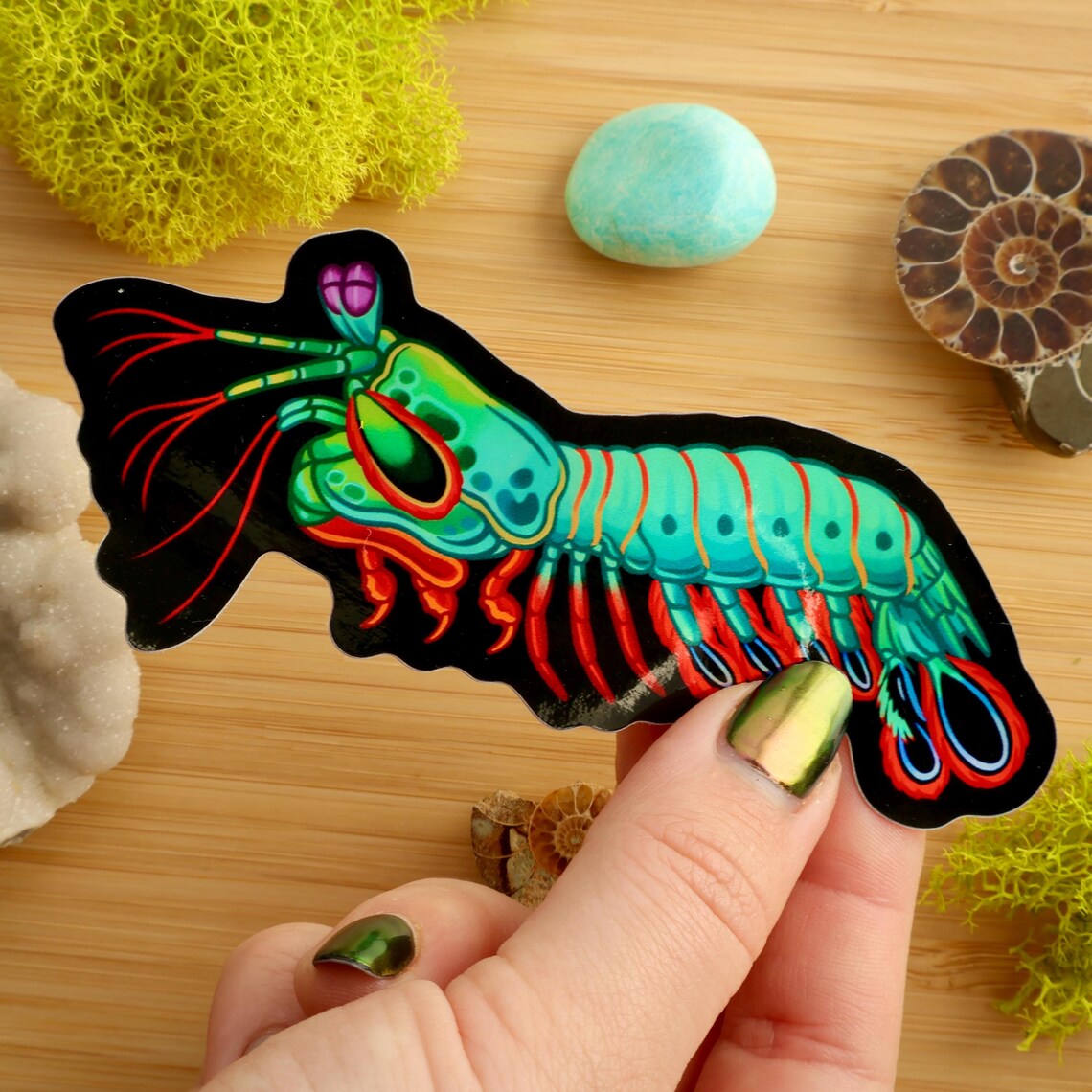 Holographic Peacock Mantis Shrimp Sticker / Marine Biology / Shiny ...