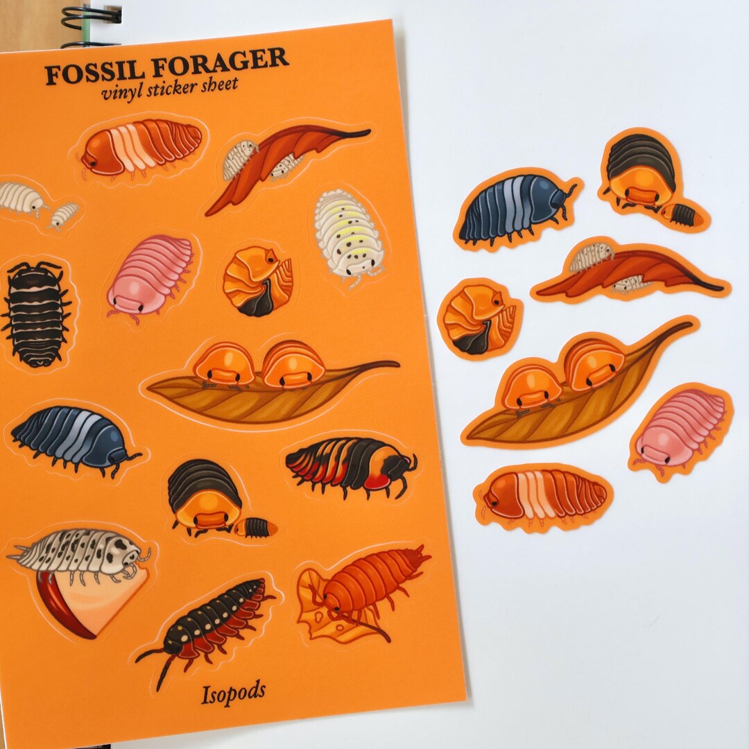 Isopods Sticker Sheet / Pill Bugs / Vinyl Sticker / Laptop Sticker ...