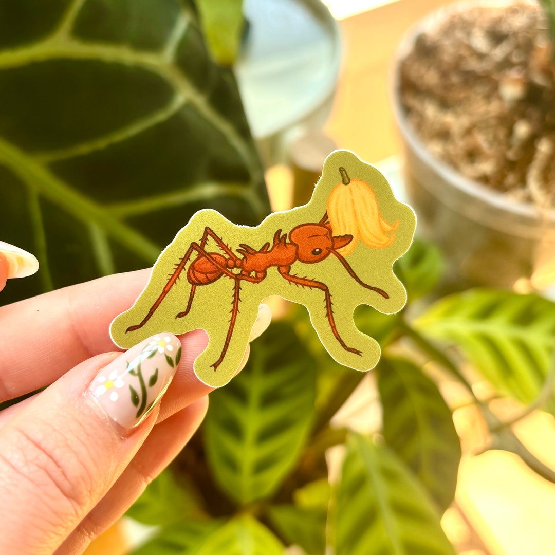 Leafcutter Ant Sticker / Insect Sticker / Entomologist / Entomology ...