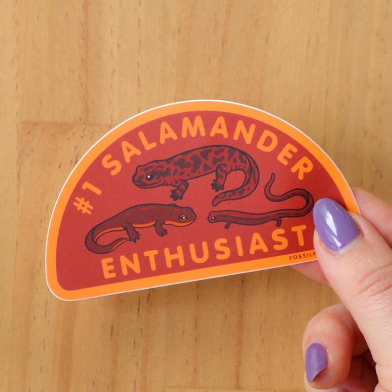 Number One Salamander Enthusiast Sticker / Herpetology / Ecology ...
