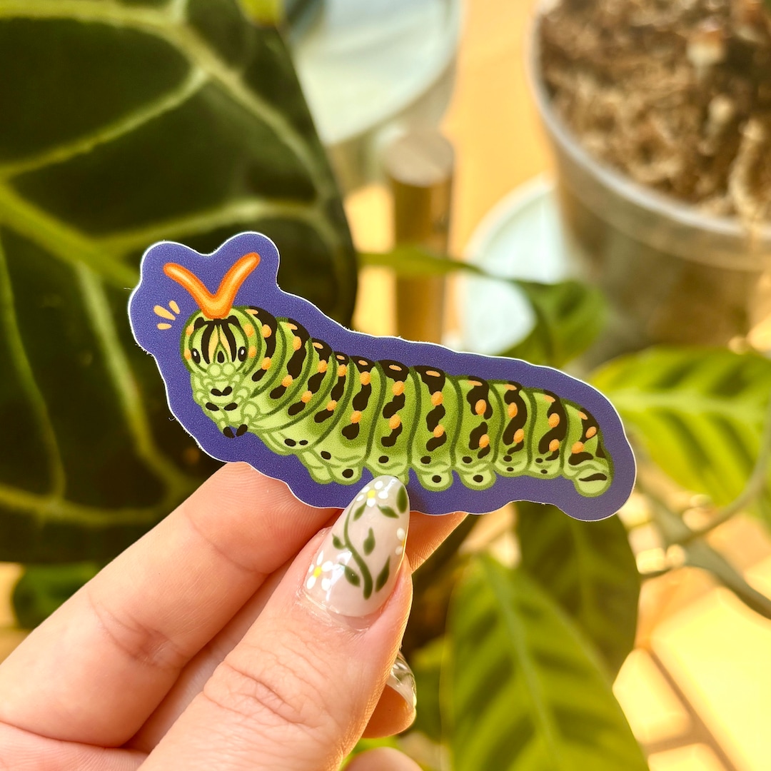 Black Swallowtail Caterpillar Sticker - Etsy