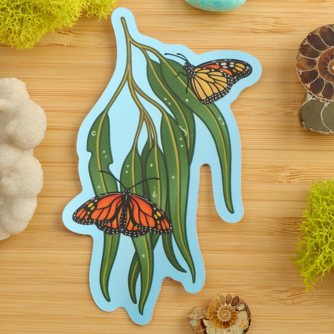 Monarch Butterfly Overwintering Sticker / Insect Sticker / Entomologist ...