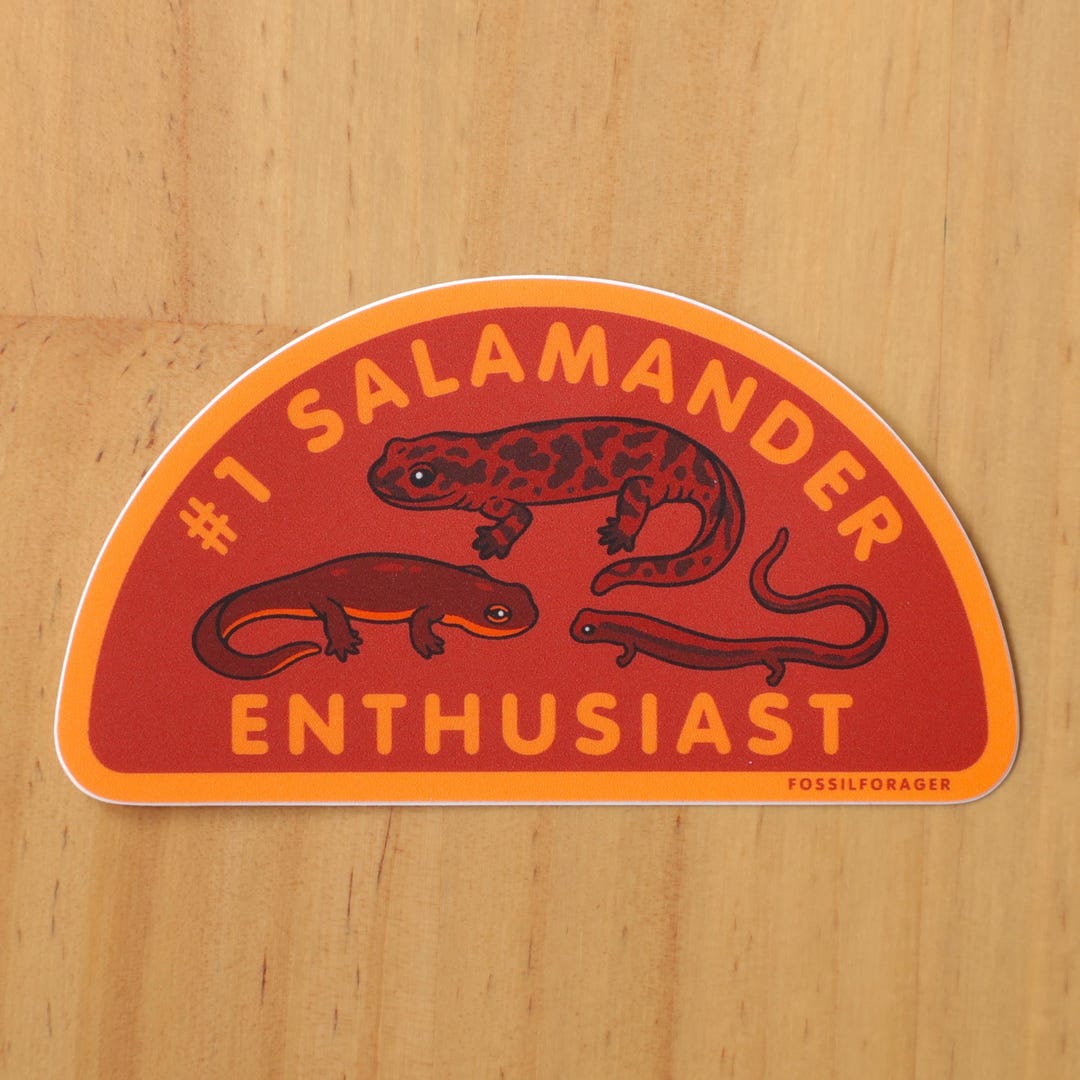 Number One Salamander Enthusiast Sticker / Herpetology / Ecology ...