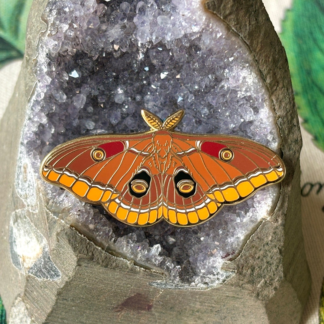 Polyphemus Moth Enamel Pin - Etsy
