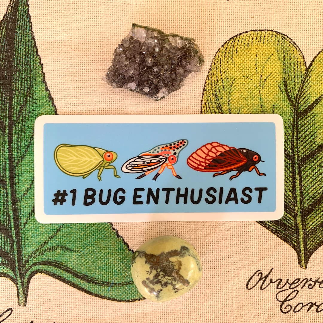 Number 1 Bug Enthusiast Sticker - Etsy