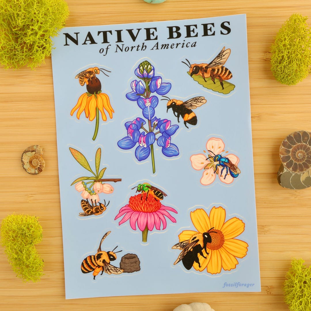 Native Bees of North America Sticker Sheet / Insect Stickers ...
