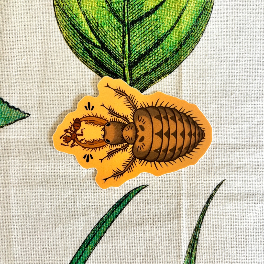 Antlion Larva Sticker / Insect Sticker / Entomologist / Entomology ...
