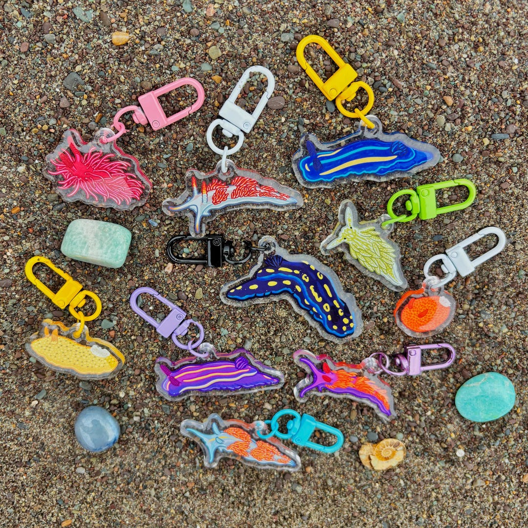 Mystery Mini Sea Slug Acrylic Keychain / Nudibranch Charm / Accessory ...