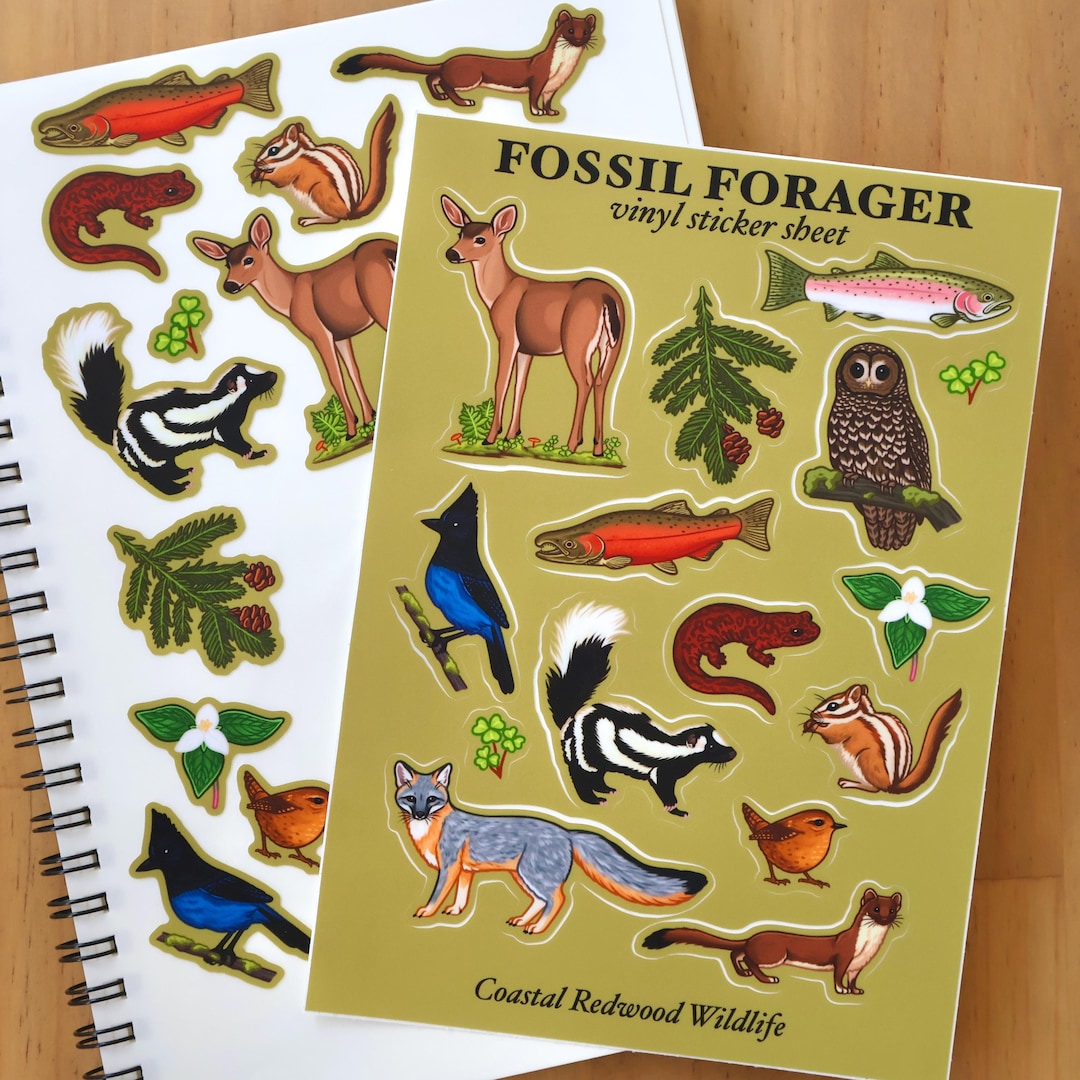 Coastal Redwood Wildlife Sticker Sheet / Ecology / Biology / Mammal ...