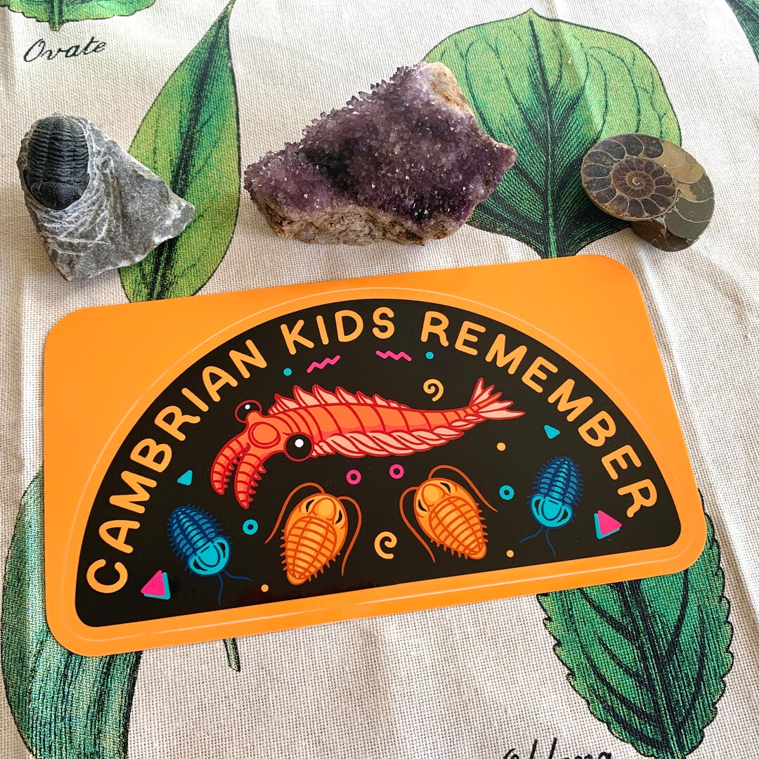 Cambrian Kids Remember Bumper Sticker - Etsy