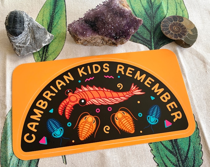 Cambrian Kids Remember Bumper Sticker - Etsy