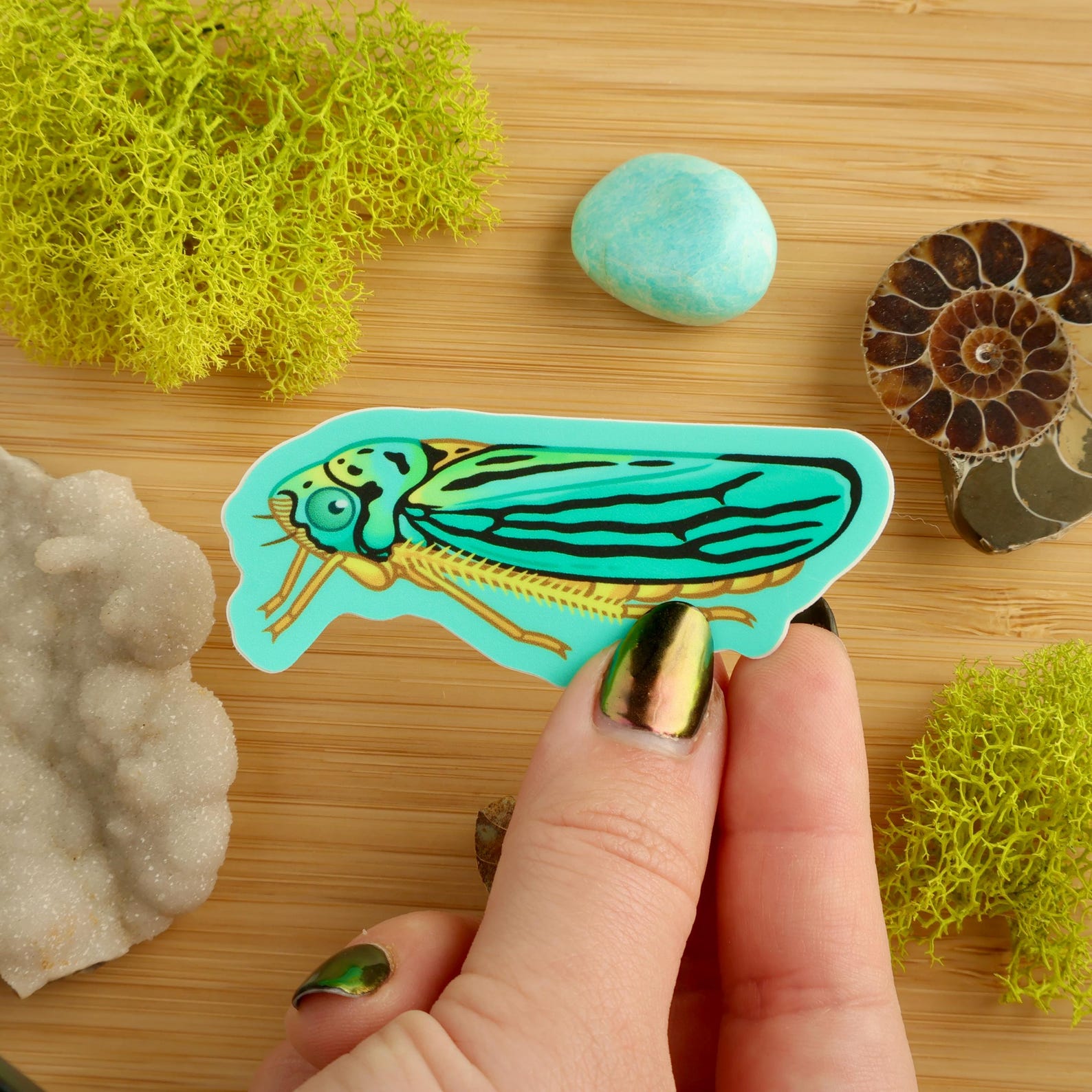 Blue-green Leafhopper Sticker / Insect Sticker / Entomologist ...