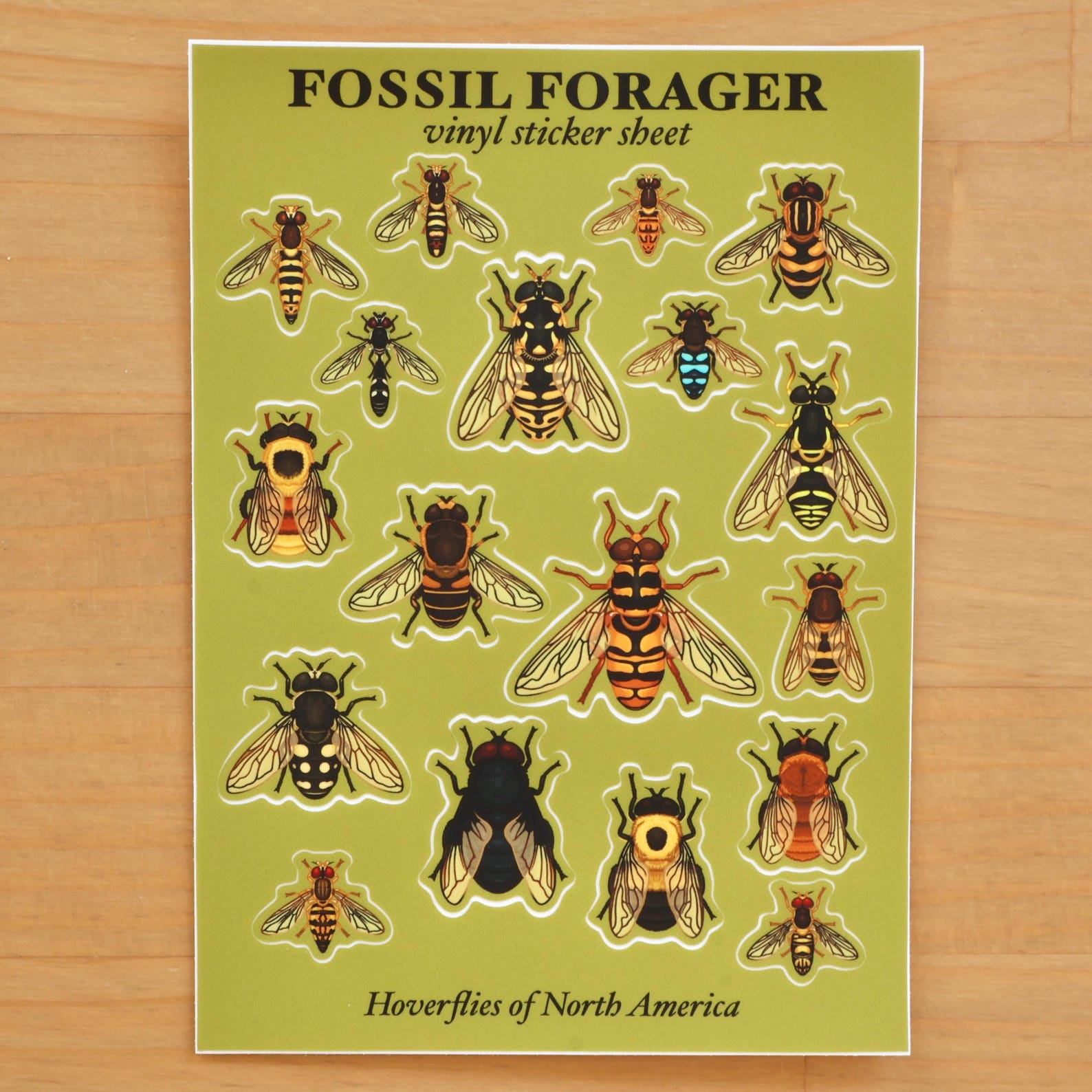 North American Hoverflies Sticker Sheet / Insect Stickers ...