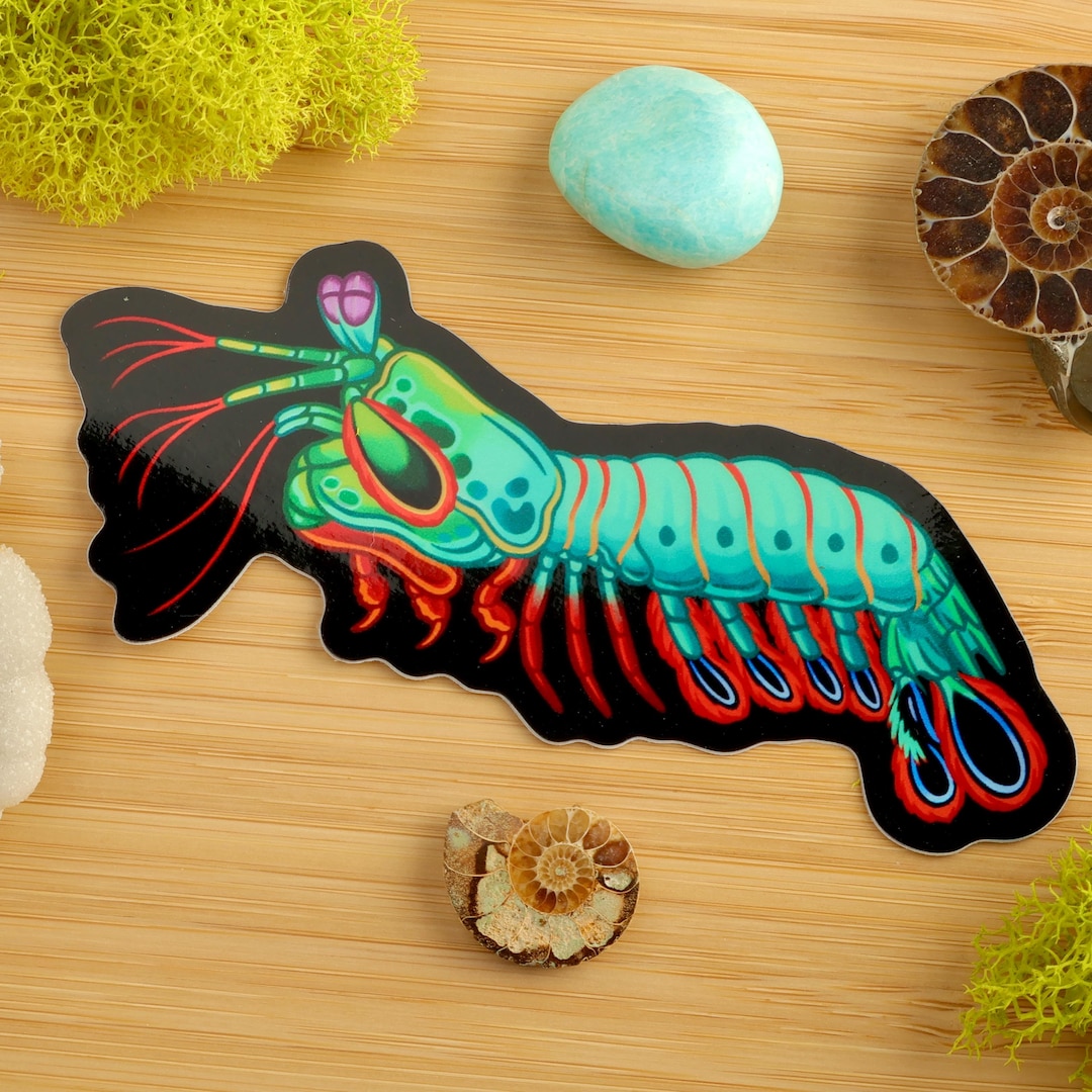 Holographic Peacock Mantis Shrimp Sticker / Marine Biology / Shiny ...