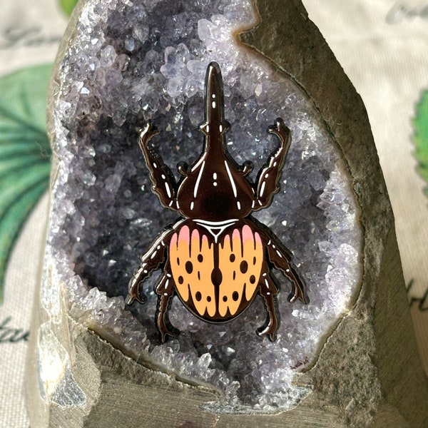 Beetle - Etsy
