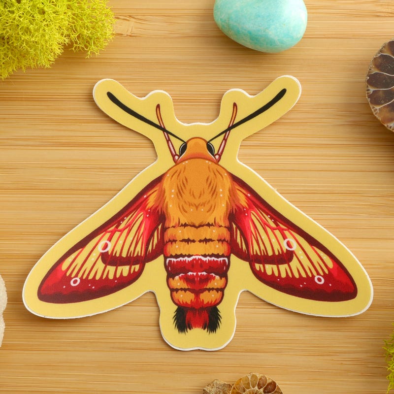 Hummingbird Moth - Etsy