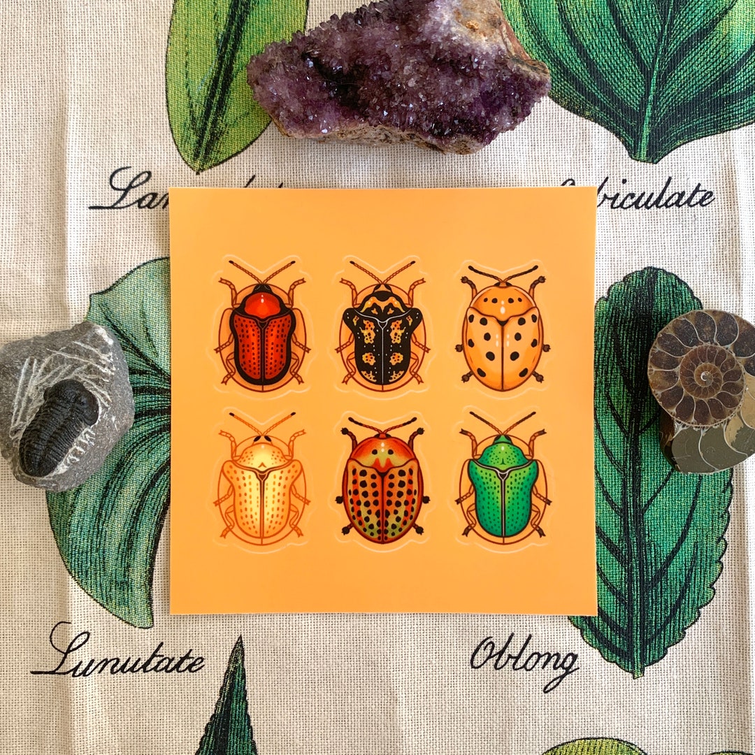 Tortoise Beetle Sticker Sheet / Entomology / Entomologist / Insect ...