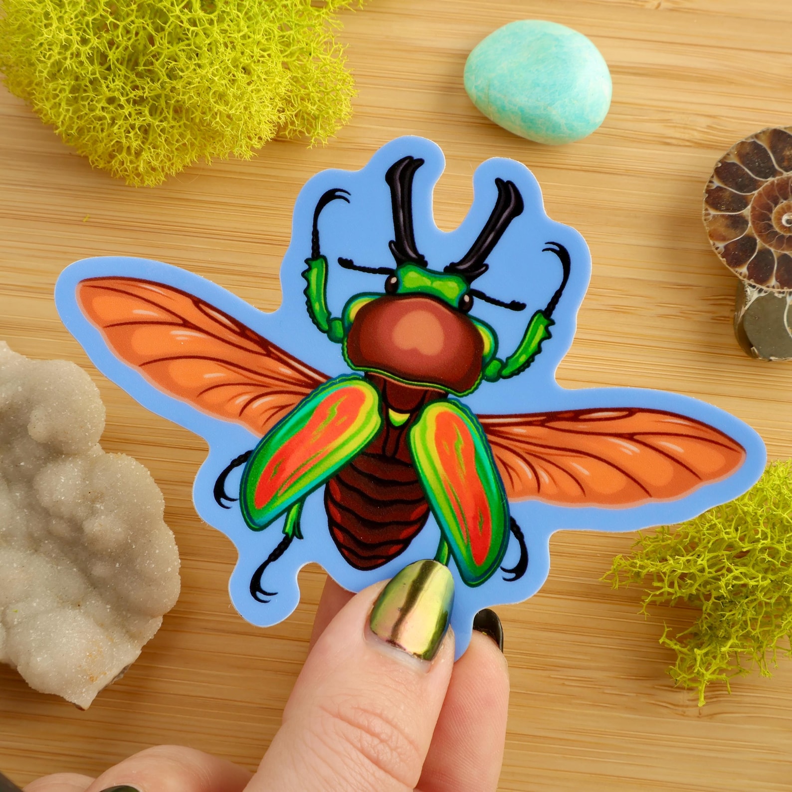 Holographic Rainbow Stag Beetle Sticker / Insect Sticker / Entomologist ...