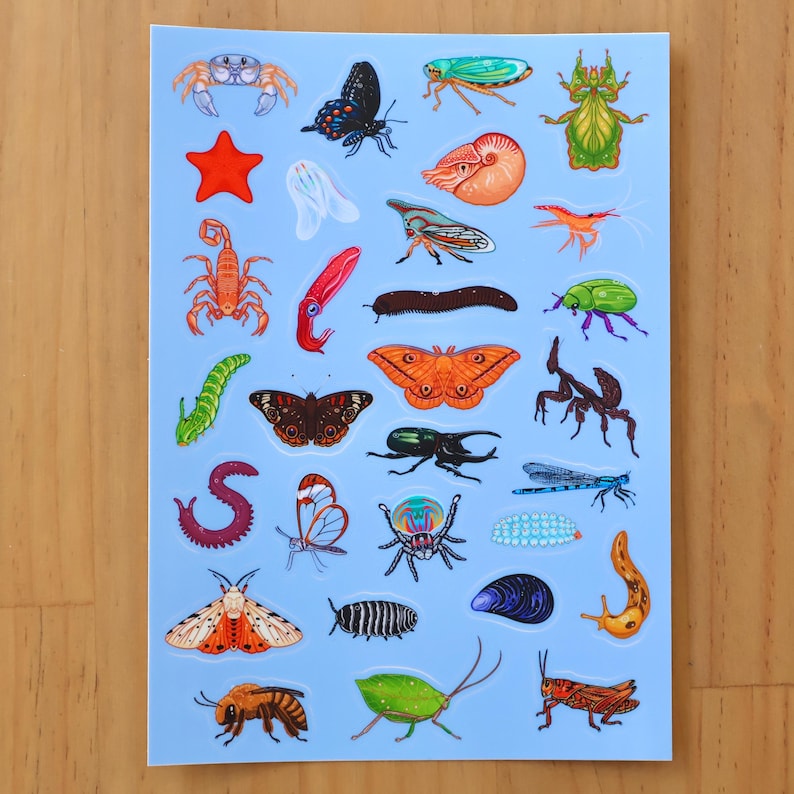Invertebrates (invertober) Sticker Sheet / Insect / Entomologist ...