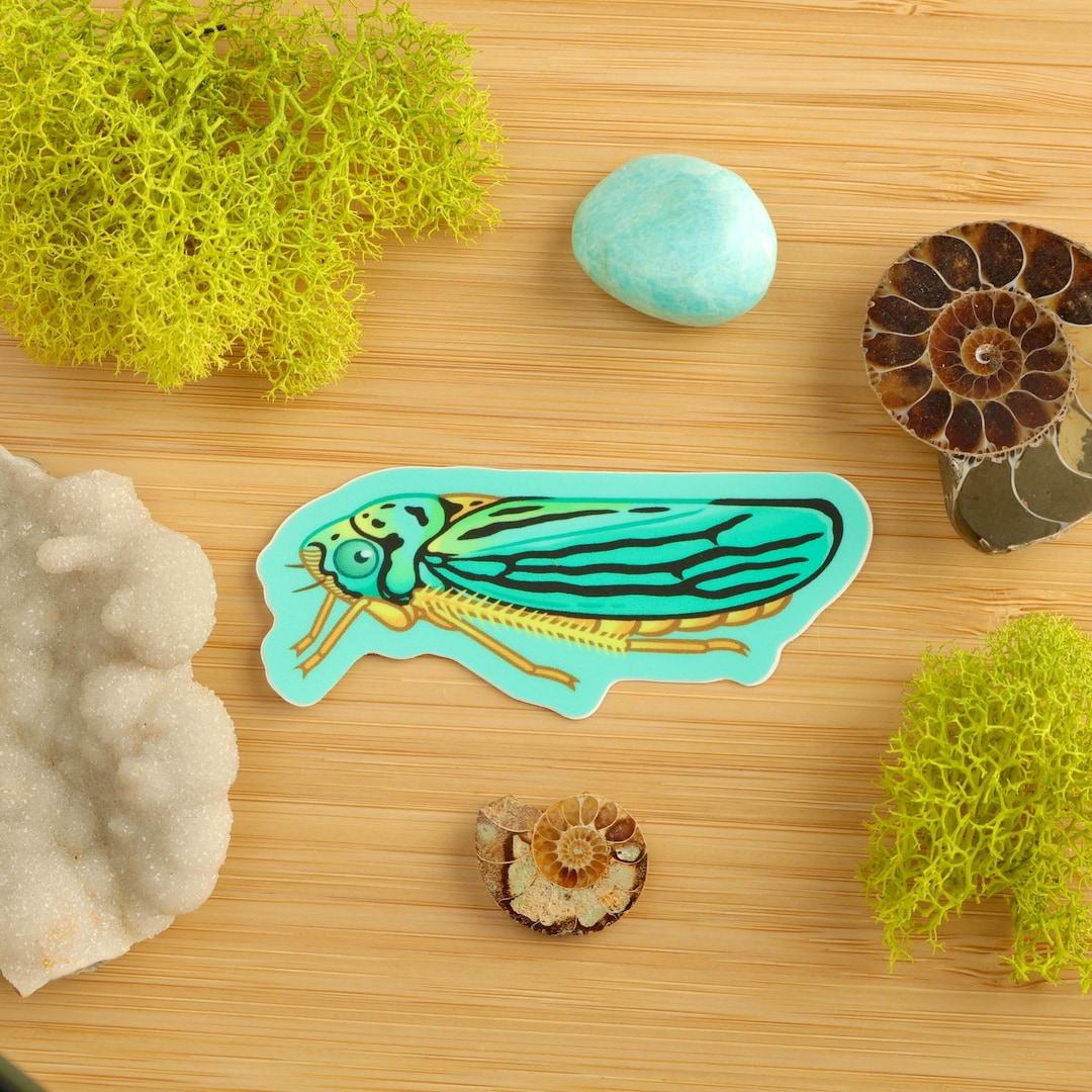 Blue-green Leafhopper Sticker / Insect Sticker / Entomologist ...