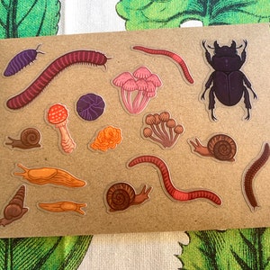 Dirt Friends Clear Sticker Sheet - Etsy