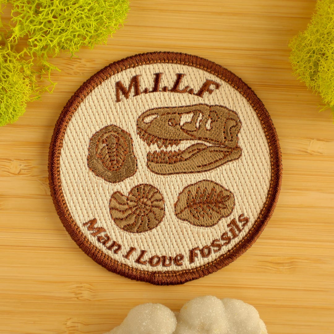 Man I Love Fossils Iron-on Patch / Paleontology / Paleontologist ...