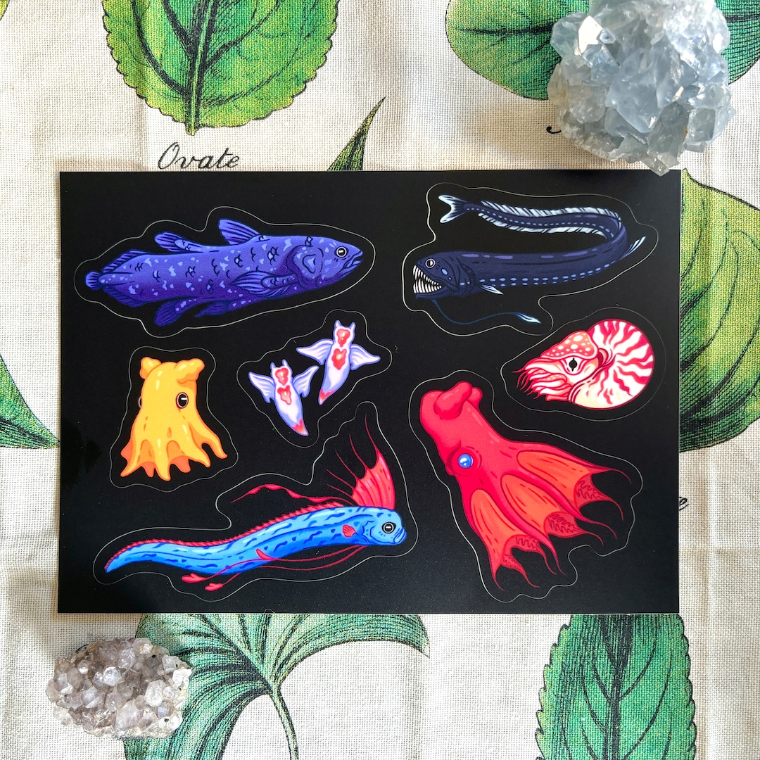 Deep Sea Creatures Sticker Sheet - Etsy