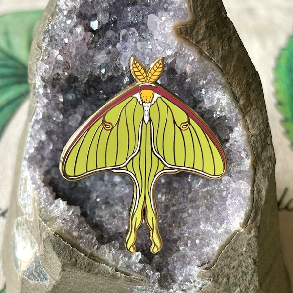 Luna Moth Pin - Etsy