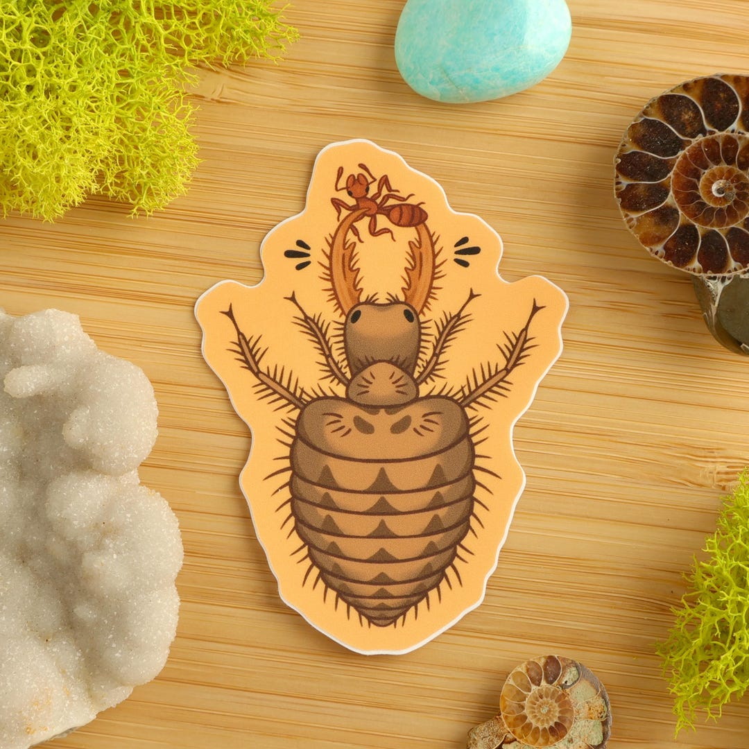 Antlion Larva Sticker / Insect Sticker / Entomologist / Entomology ...