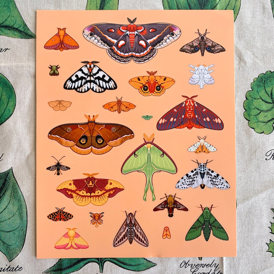 North American Moths JUMBO Sticker Sheet / Insect Stickers ...