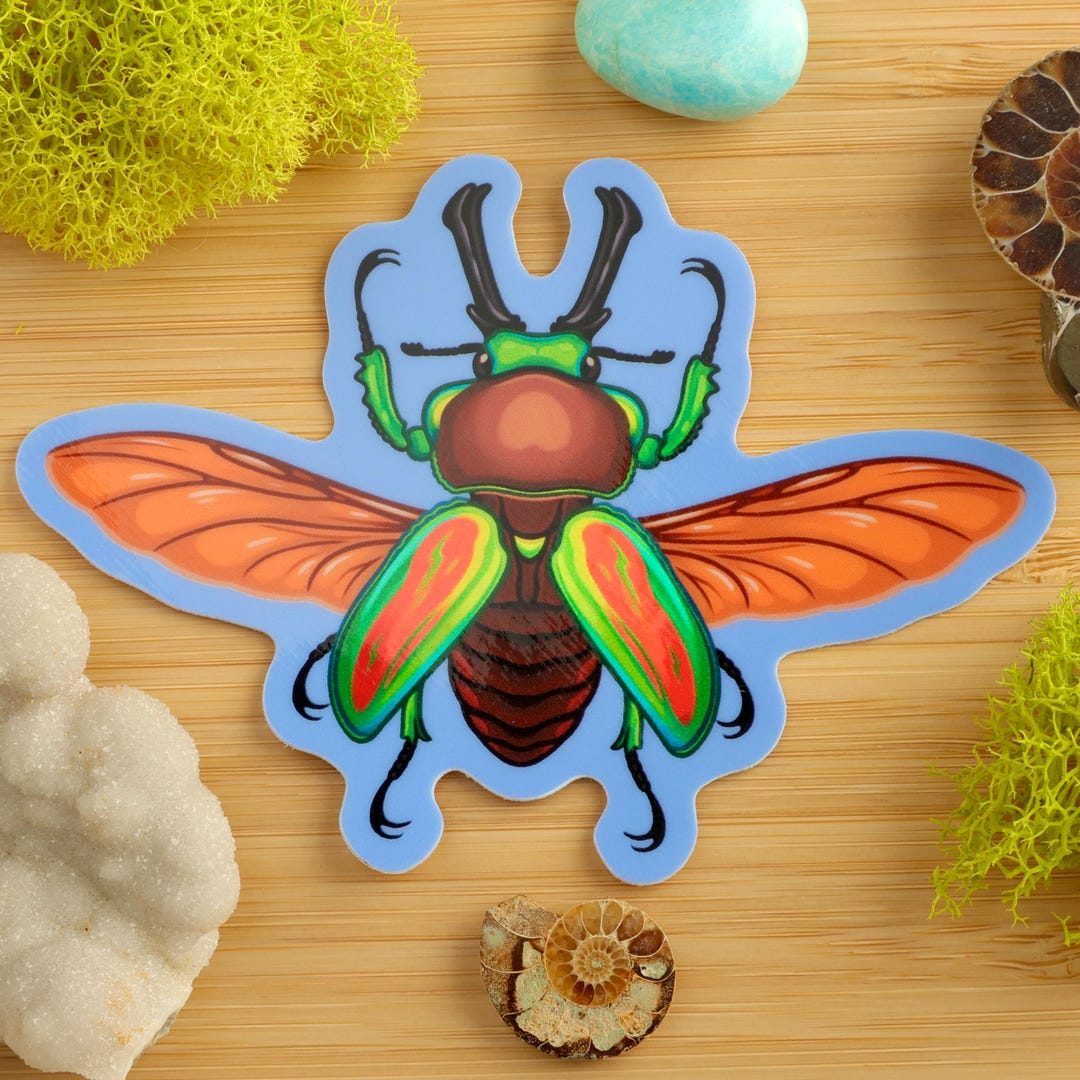 Holographic Rainbow Stag Beetle Sticker / Insect Sticker / Entomologist ...